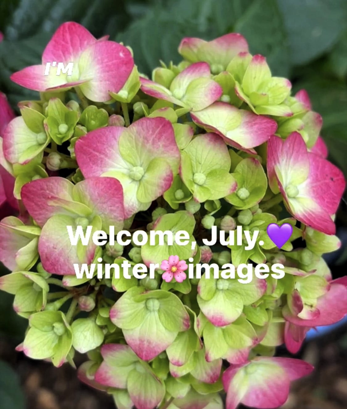 Welcome, July- Judy Winter